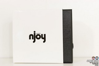 Test du Pure Plug Njoy Medium | 69Desirs